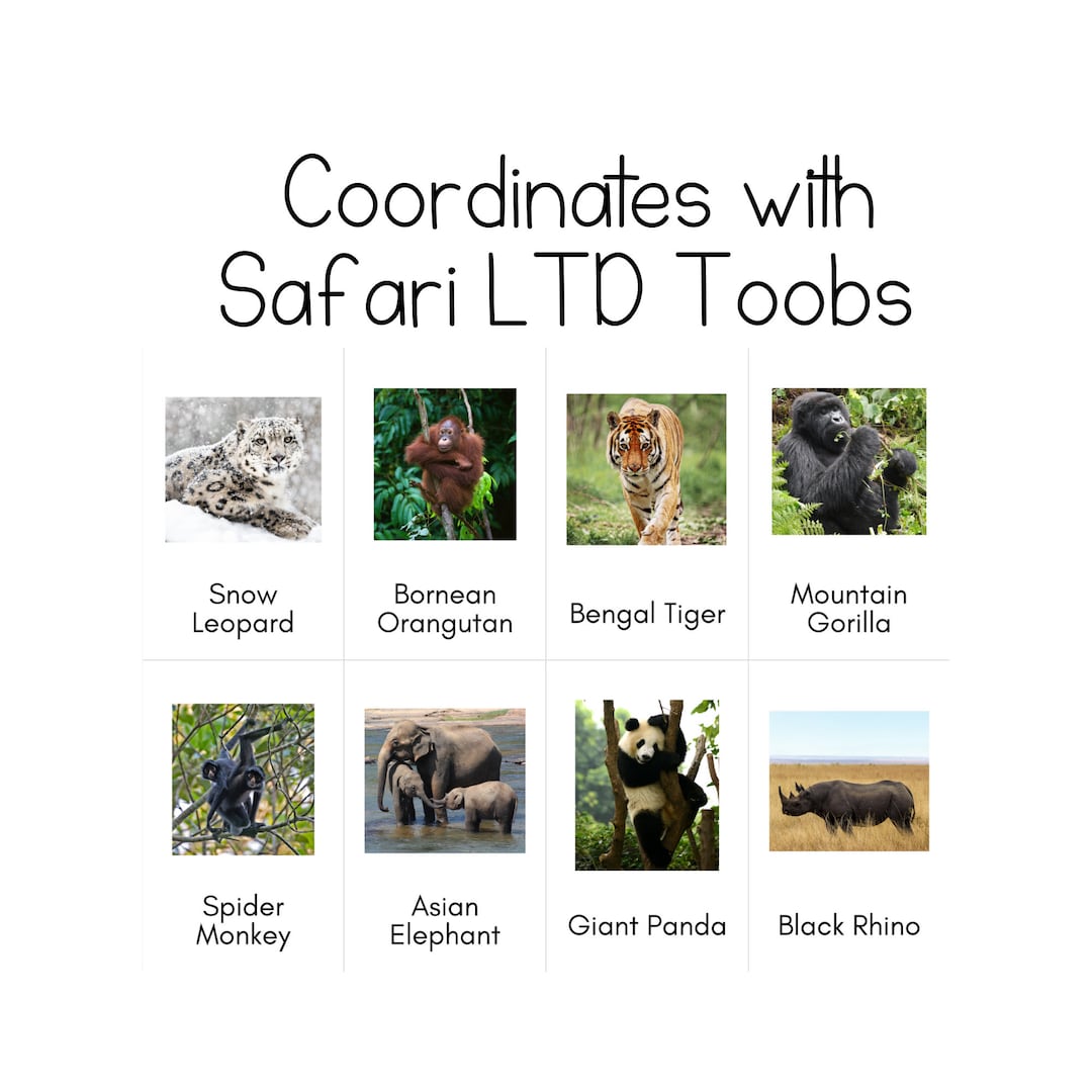 Endangered Animals (land) Toob - Safari LTD Identification Cards - Etsy