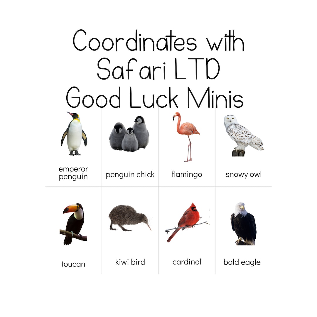 Birds 'fun Pack' - Safari LTD Identification Cards- Good Luck Minis - Etsy