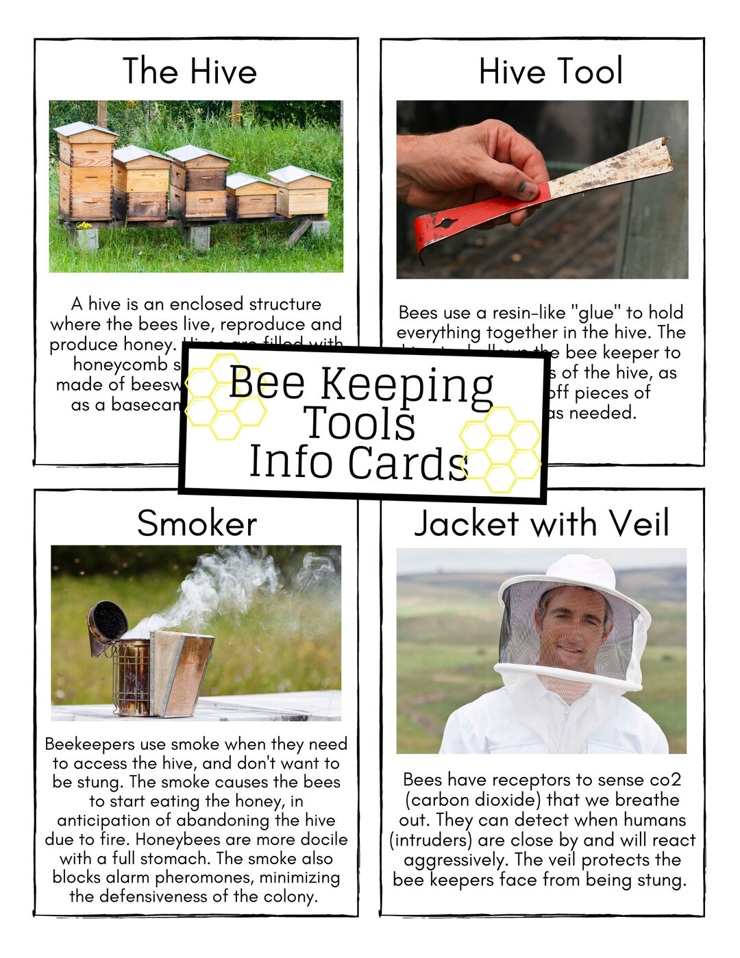 Bee Keeping Tools Info Cards, Montessori Flash Cards, Bee Keeping Info ...