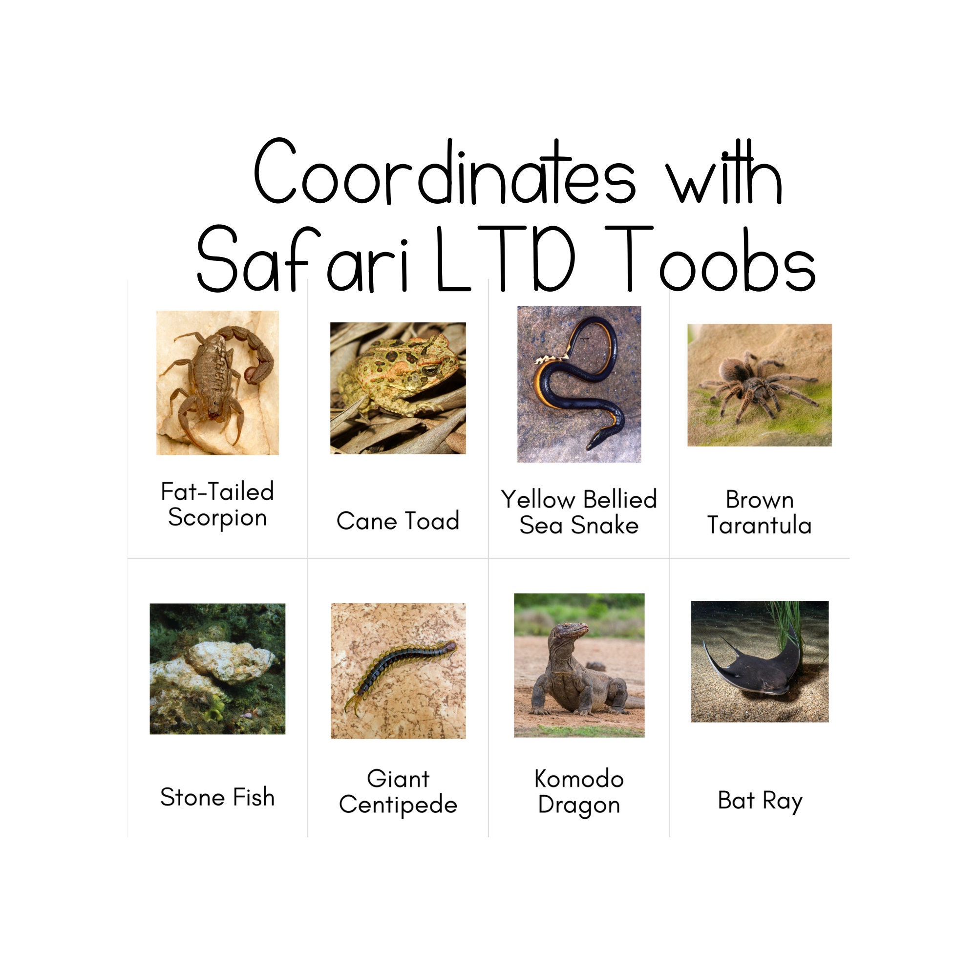 Venomous Creatures Toob Safari LTD Identification Cards - Etsy