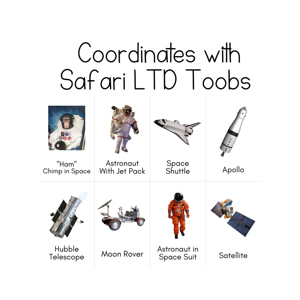 Space Toob Safari LTD Identification Cards - Etsy