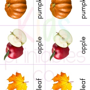 3-part Montessori Vocabulary Cards - Autumn Words - Etsy Canada