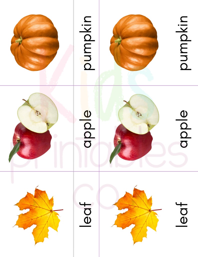 3-part Montessori Vocabulary Cards Autumn Words - Etsy Canada
