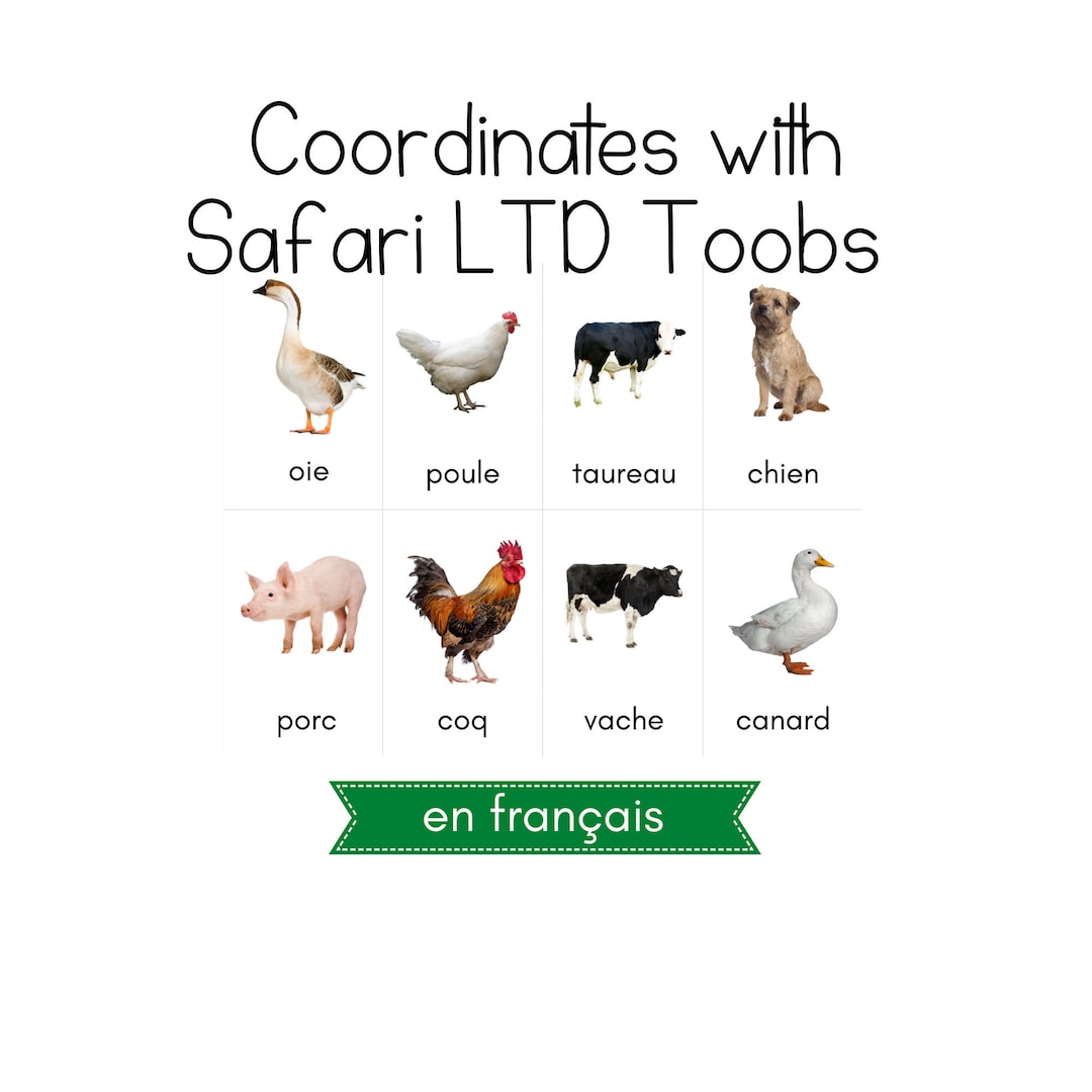 FRENCH - Farm Animals Toob - Safari LTD Identification Cards - Etsy
