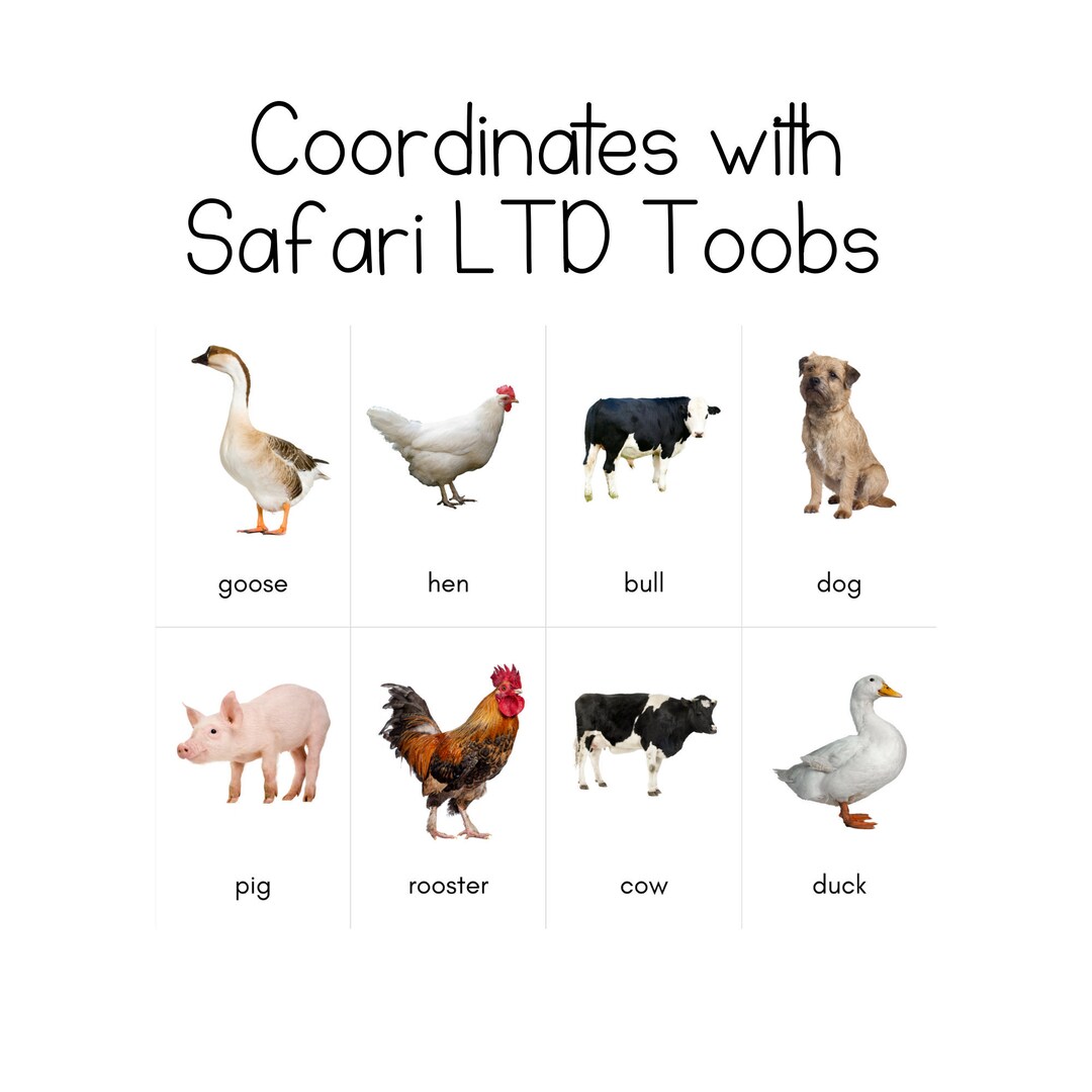 Farm Animals Toob - Safari LTD Identification Cards - Etsy