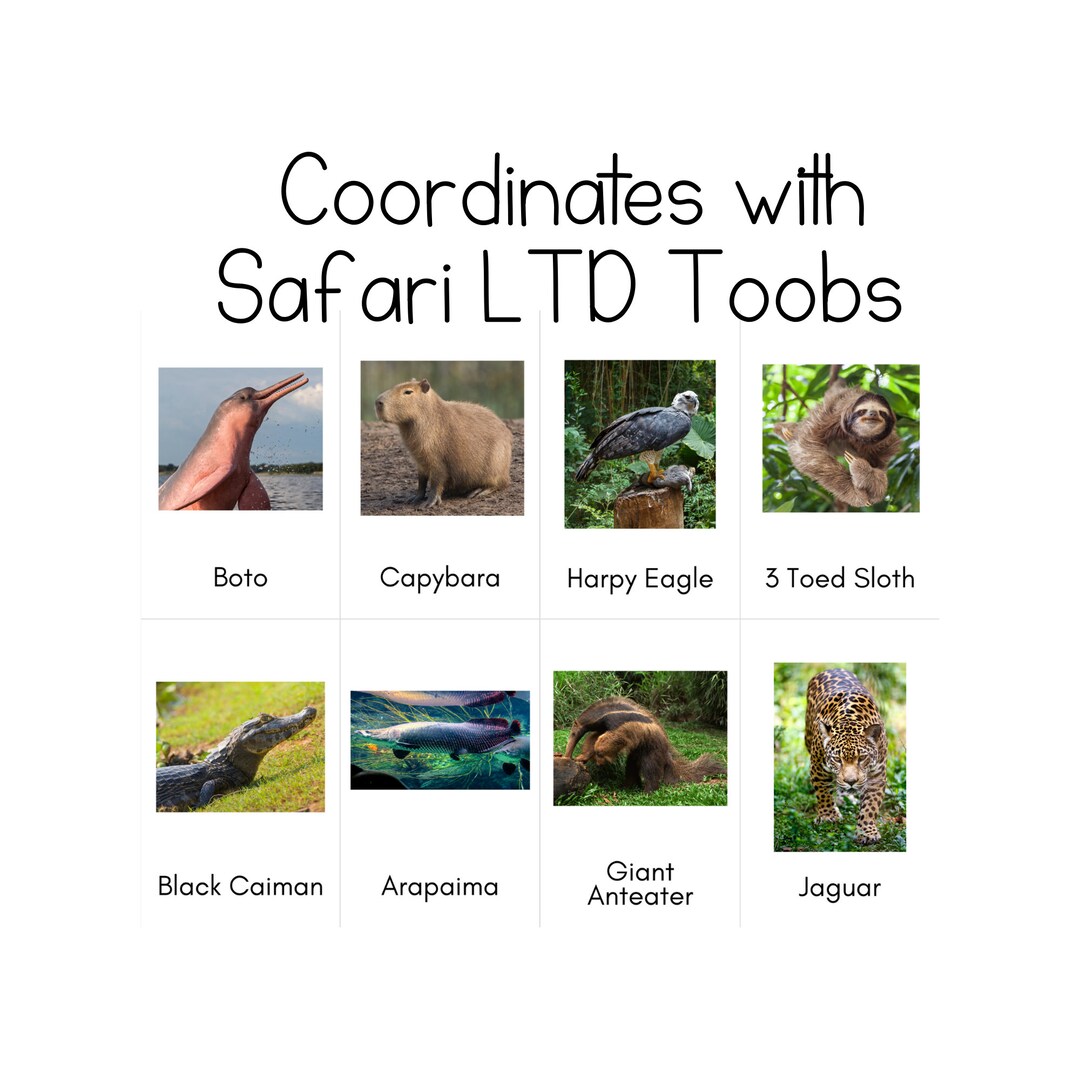 South American Animals Toob - Safari LTD Identification Cards - Etsy