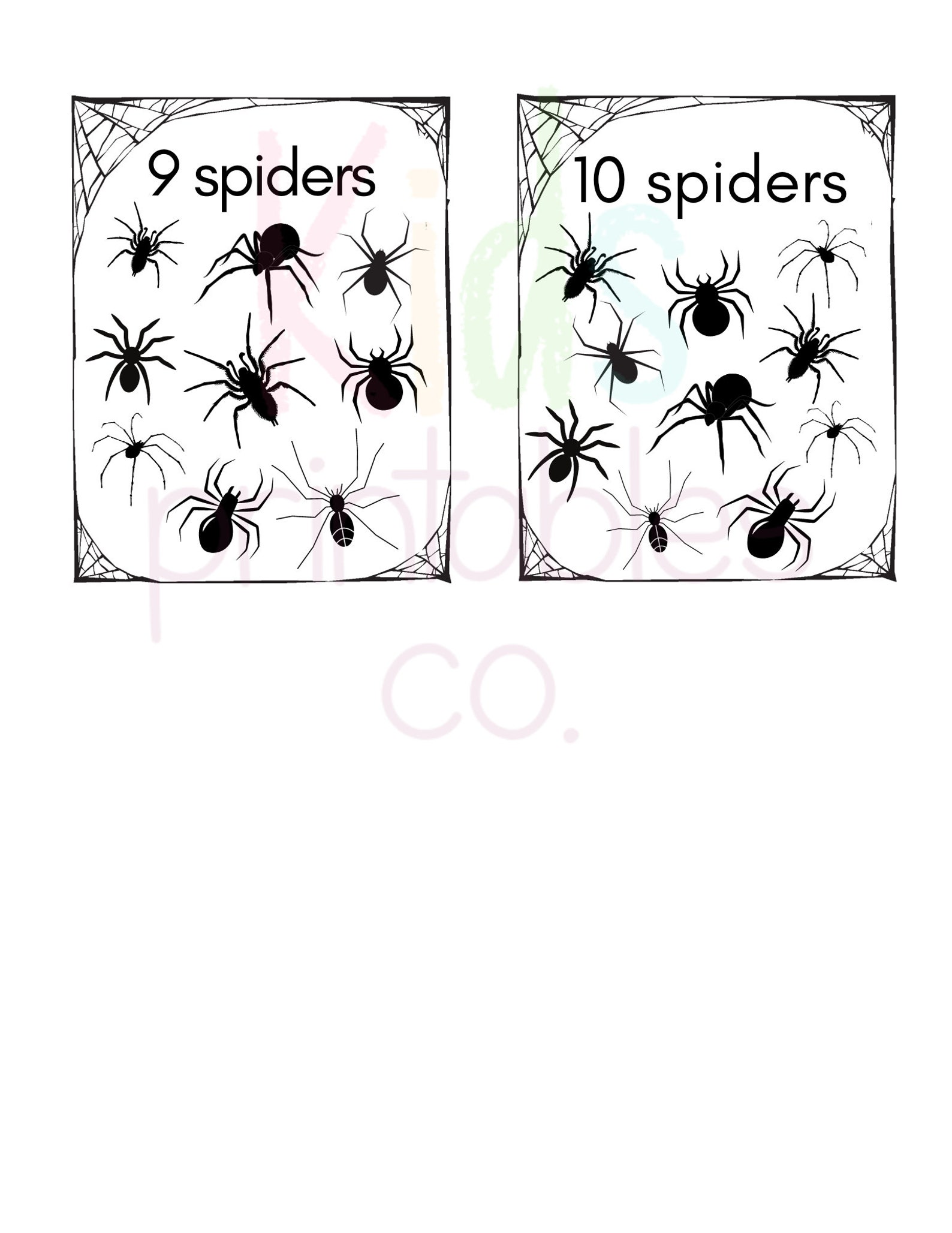 Spider Numbers Cards 1-10 Realistic | Etsy