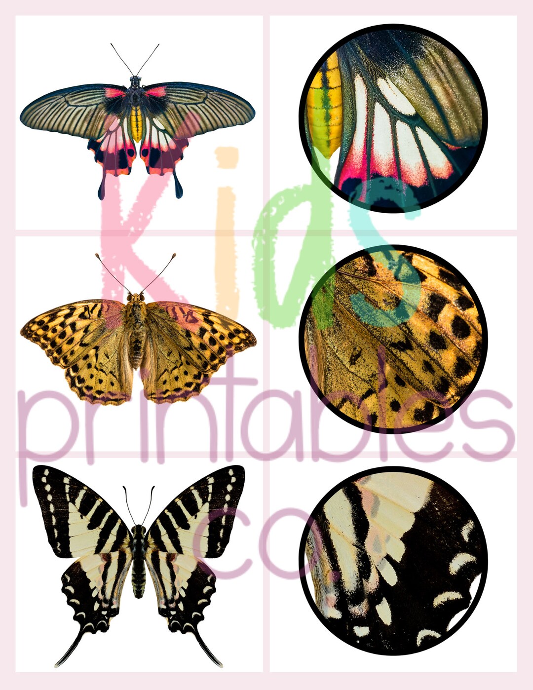 Butterfly Matching Printable Busy Bag - Etsy