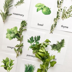 Fresh Herb Identification Photograph Cards - Etsy