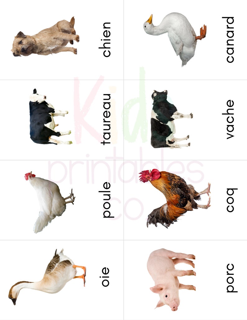 FRENCH Farm Animals Toob Safari LTD Identification Cards | Etsy