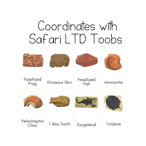 Ancient Fossils Toob Safari LTD Identification Cards | Etsy