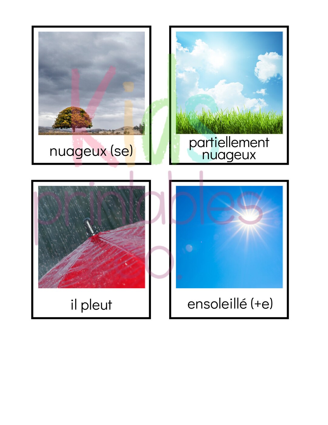 French - Everyday Weather Identification Photograph Cards - Etsy