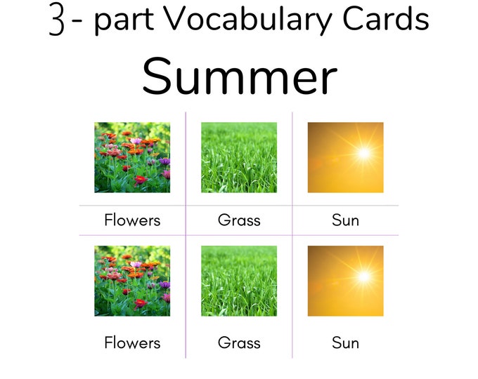 3-part Montessori Vocabulary Cards - Autumn Words - Etsy Canada