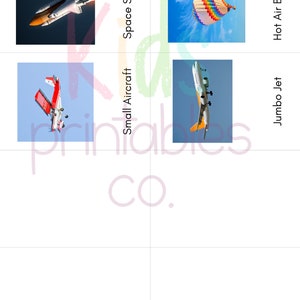 In the Sky Toob - Safari LTD Identification Cards - Etsy Canada