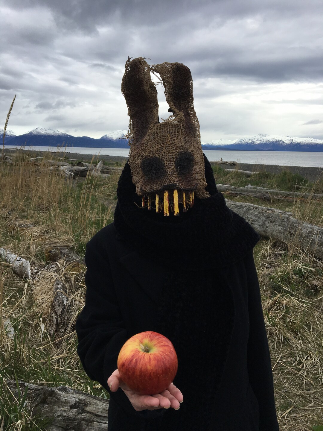 Scary Rabbit Mask, Creepy Easter Bunny Mask, Adult Halloween Costume ...