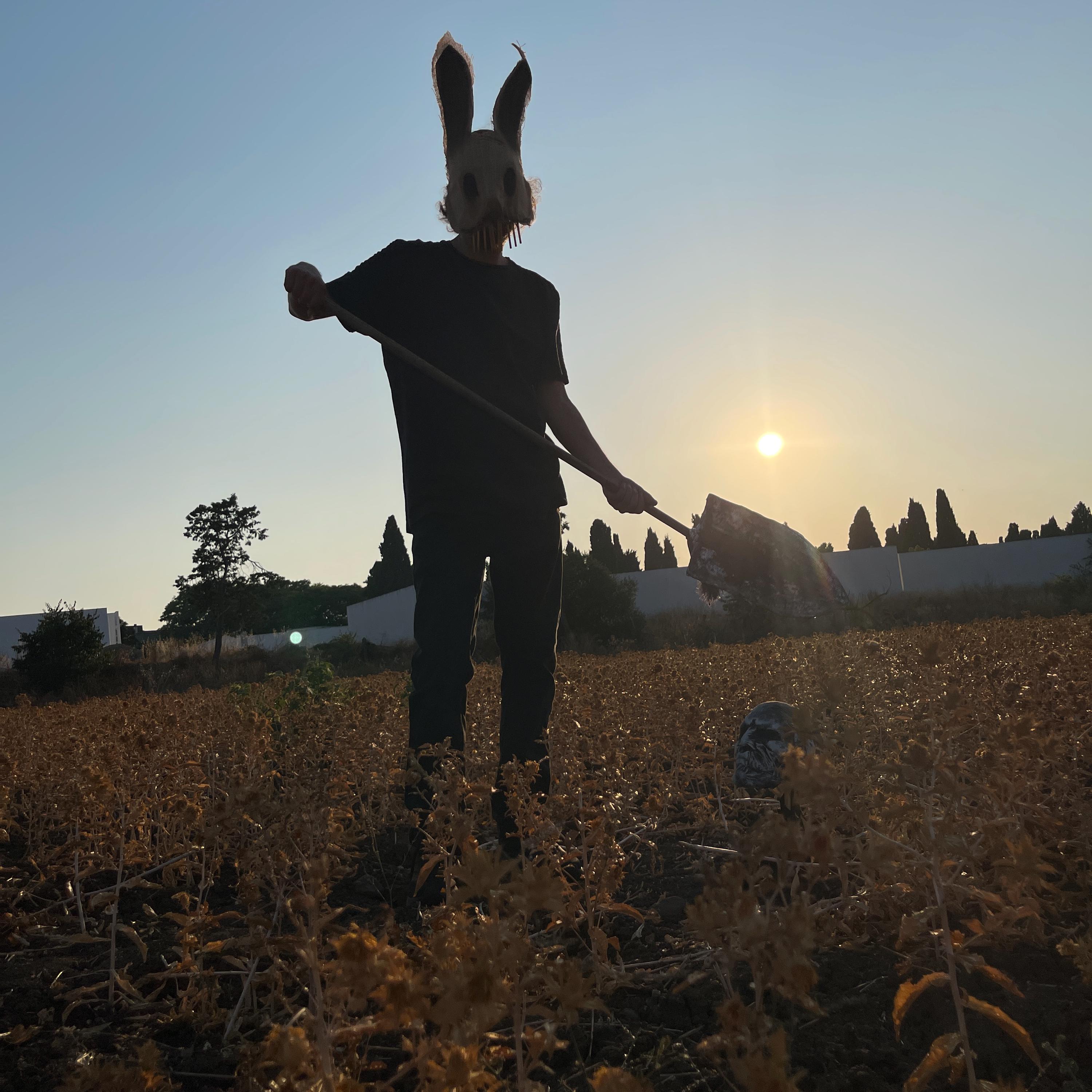 Rabbit Mask, Bunny Horror Halloween Costume, Masquerade, Photo Shoot ...