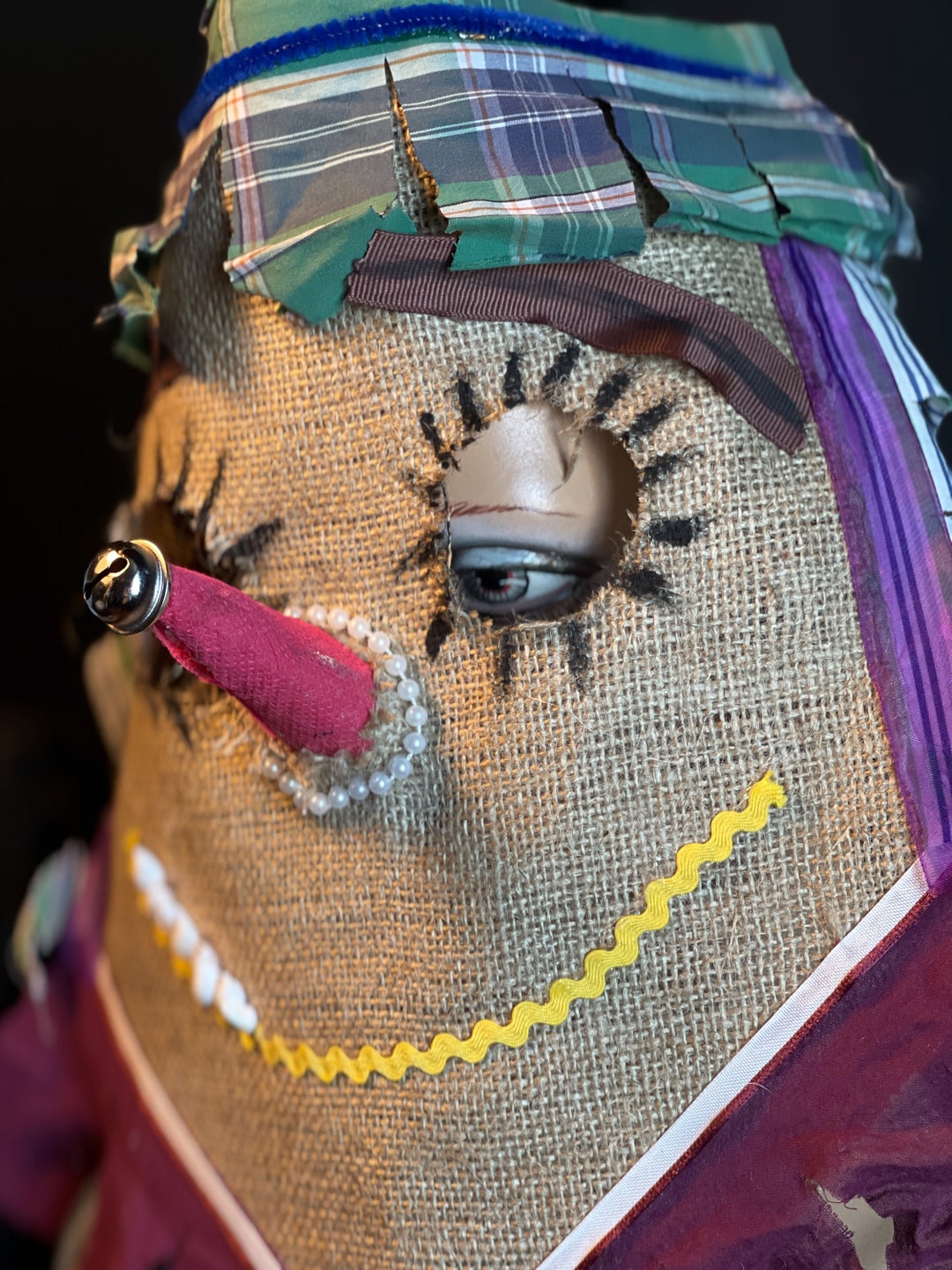 Cajun Mardi Gras Mask Masquerade Carnival Costume Chicken Chase Outfit ...