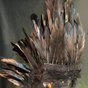 Raven Mask Goth Raven Creepy Crow Mask Halloween, Masquerade, Photo ...