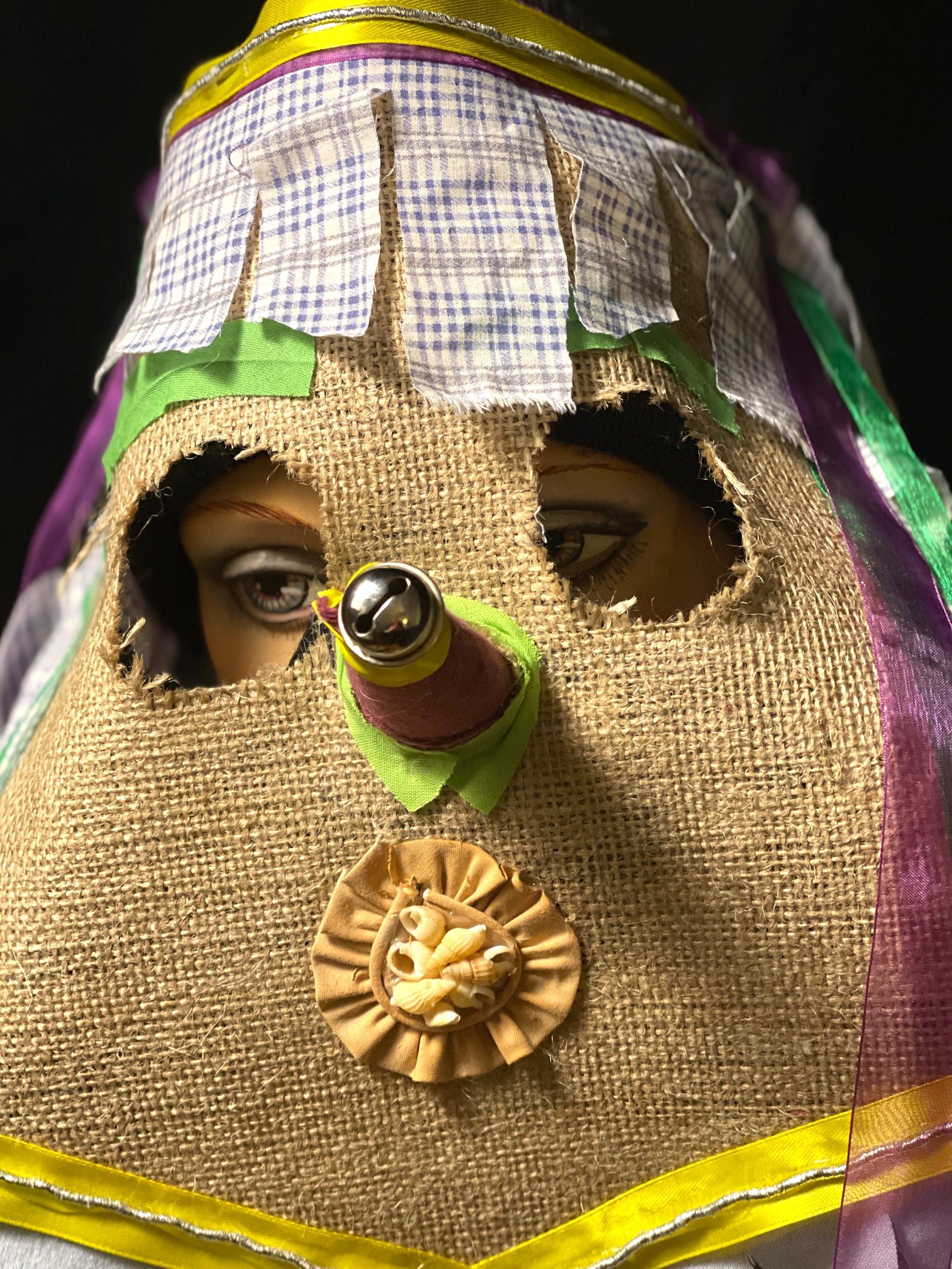 Cajun Mardi Gras Mask: Chicken Chase Costume Prop - Etsy