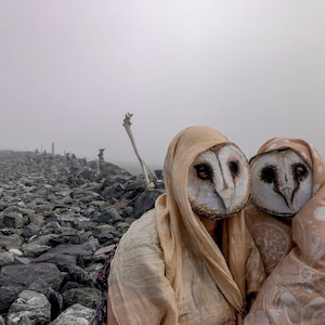 Barn Owl Masks for Halloween Costume, Creepy Adult Masquerade, Animal ...