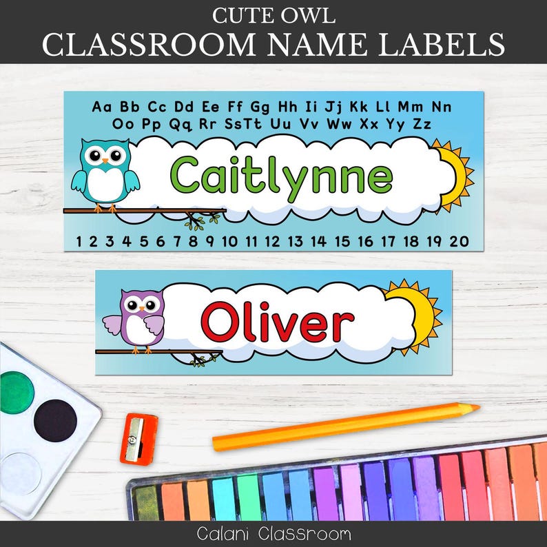Classroom Name Plate Label, Owl Classroom Theme, Owl Name Label ...