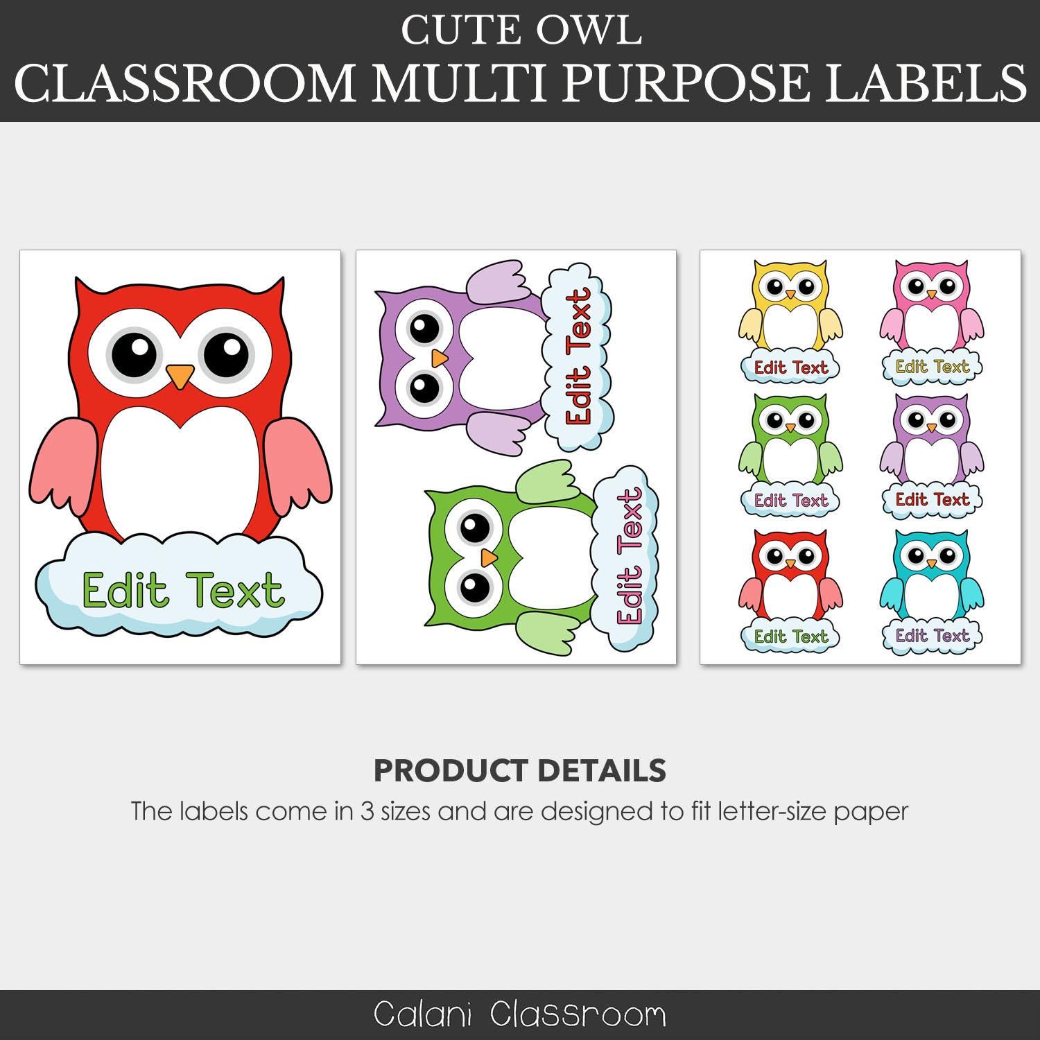 Classroom Supply Label, Owl Classroom Theme, Owl Editable Classroom ...