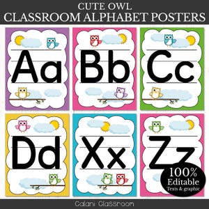Alphabet Poster Classroom Decoration, Owl Classroom Theme, Editable ABC ...
