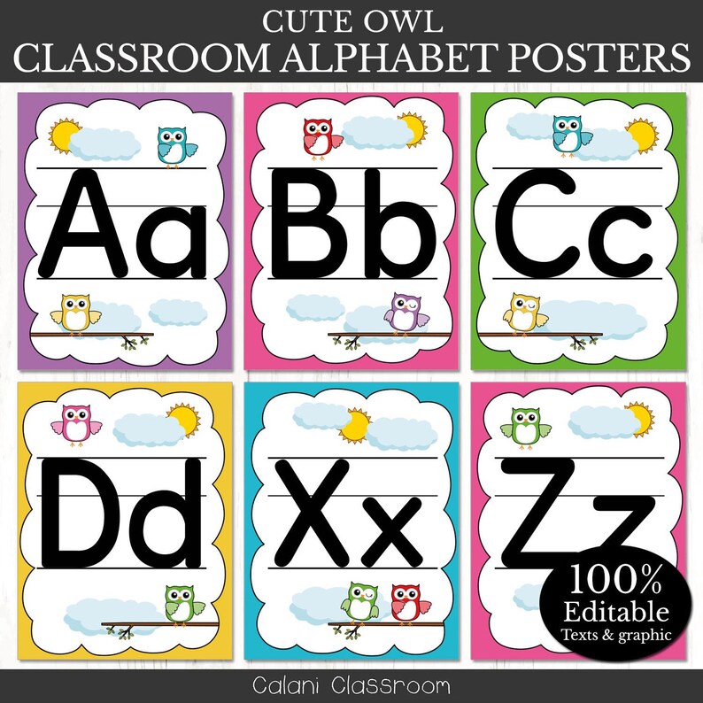 Alphabet Poster Classroom Decoration, Owl Classroom Theme, Editable ABC ...