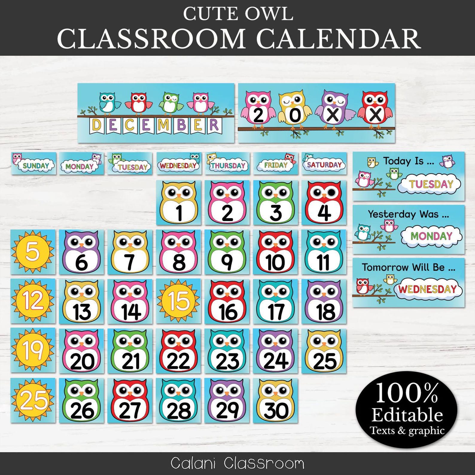 Calendar Classroom Decoration, Cute Owl Classroom Theme, Editable ...