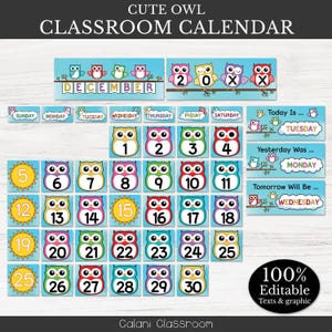Calendar Classroom Decoration, Cute Owl Classroom Theme, Editable ...