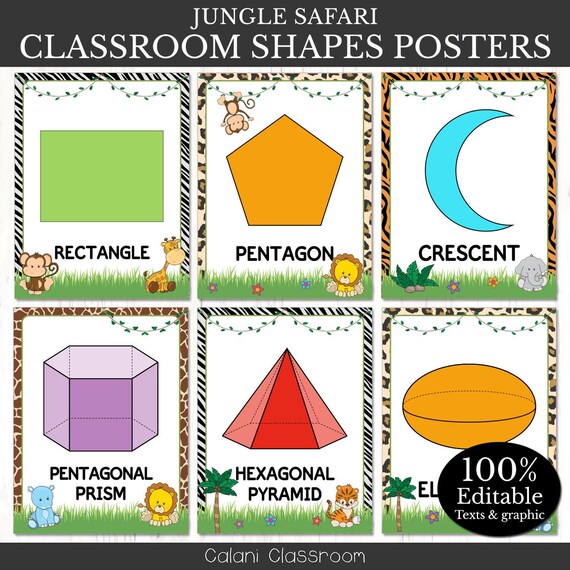 Shape Wall Display
