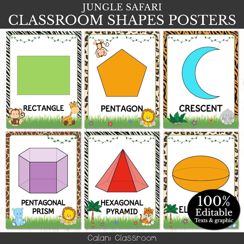Shapes Poster Classroom Decoration, Safari Classroom Theme, 2D & 3D ...