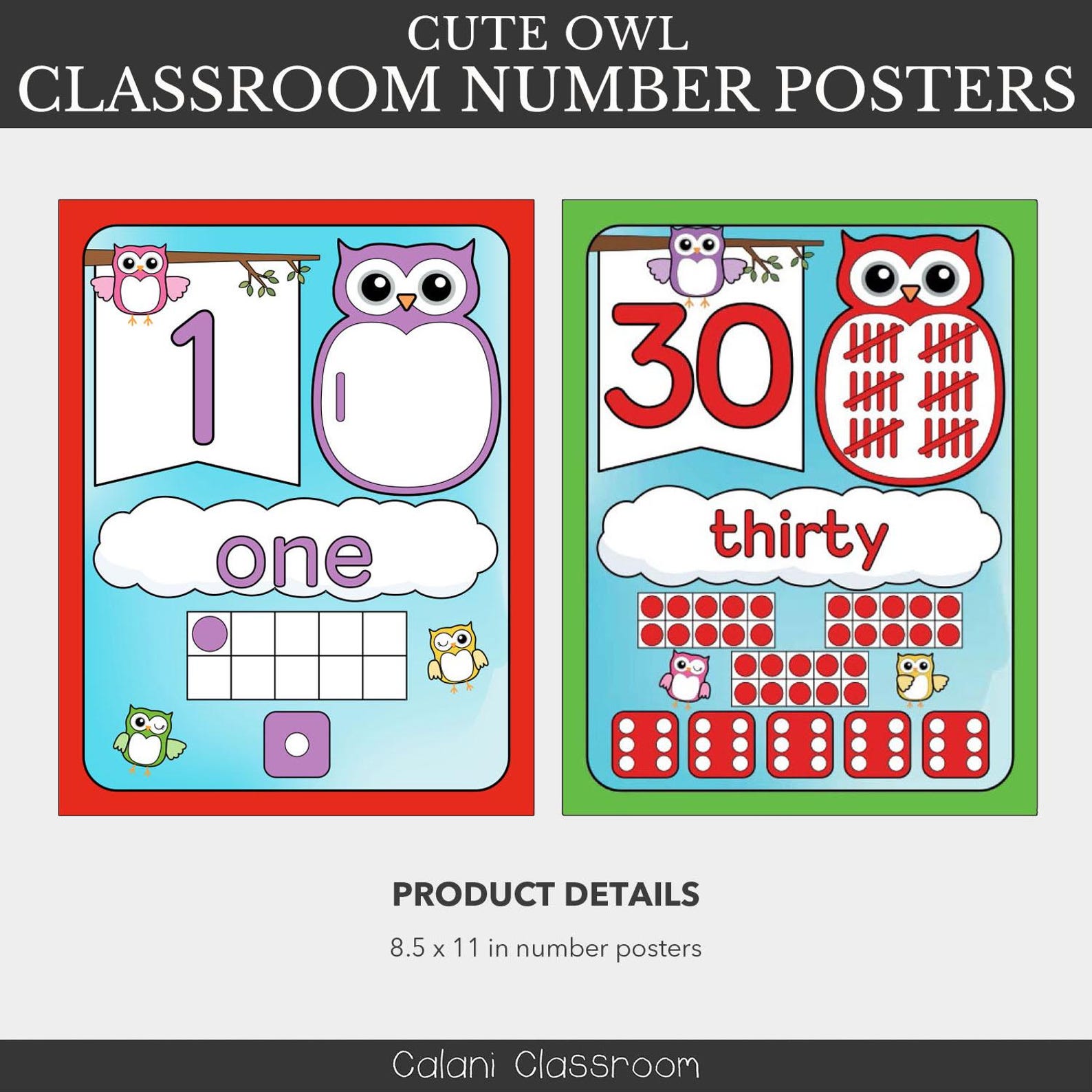 Number Classroom Poster, Owl Classroom Theme, Editable Math Poster, Owl ...