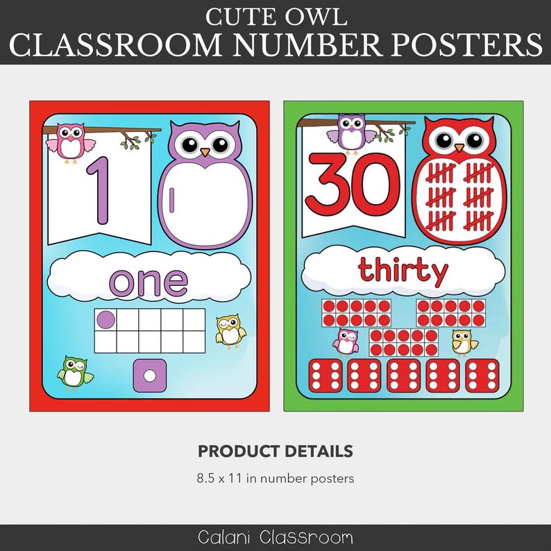 Number Classroom Poster, Owl Classroom Theme, Editable Math Poster, Owl ...