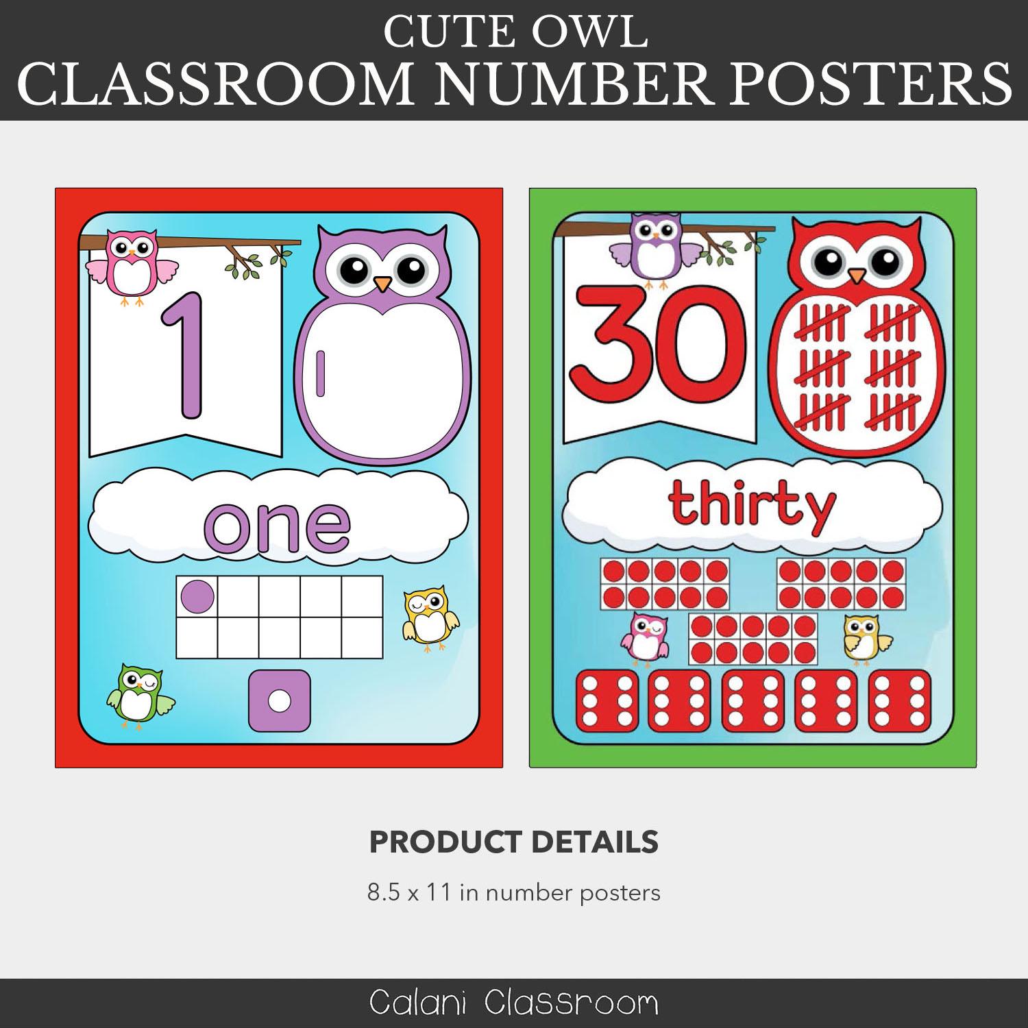 Number Classroom Poster, Owl Classroom Theme, Editable Math Poster, Owl ...