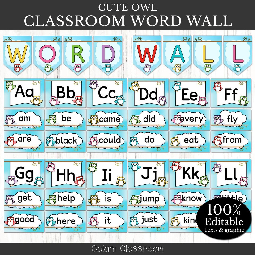 Word Wall Classroom Decoration, Owl Classroom Theme, Editable Reading ...