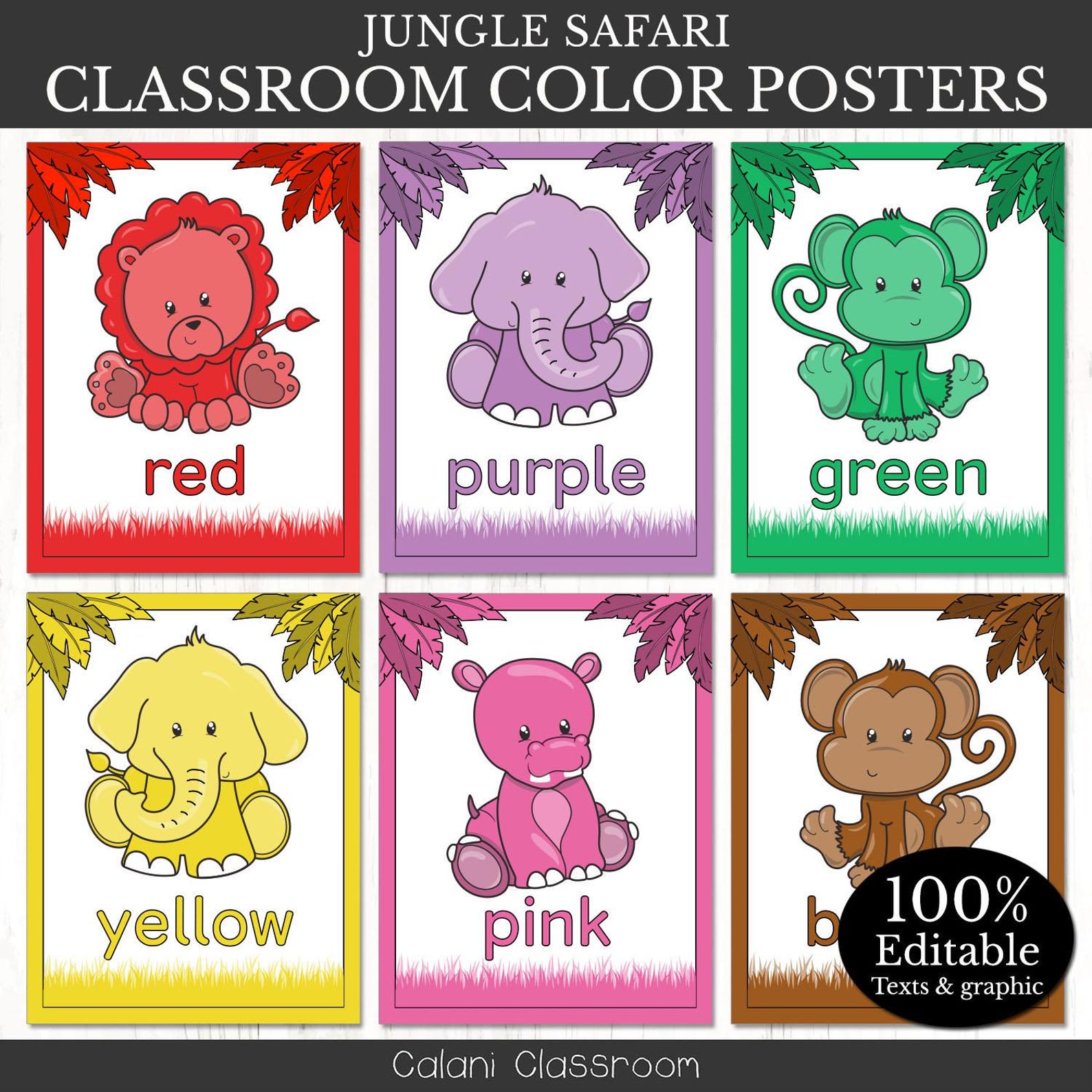 Color Poster Classroom Decoration, Safari Classroom Theme, Editable ...