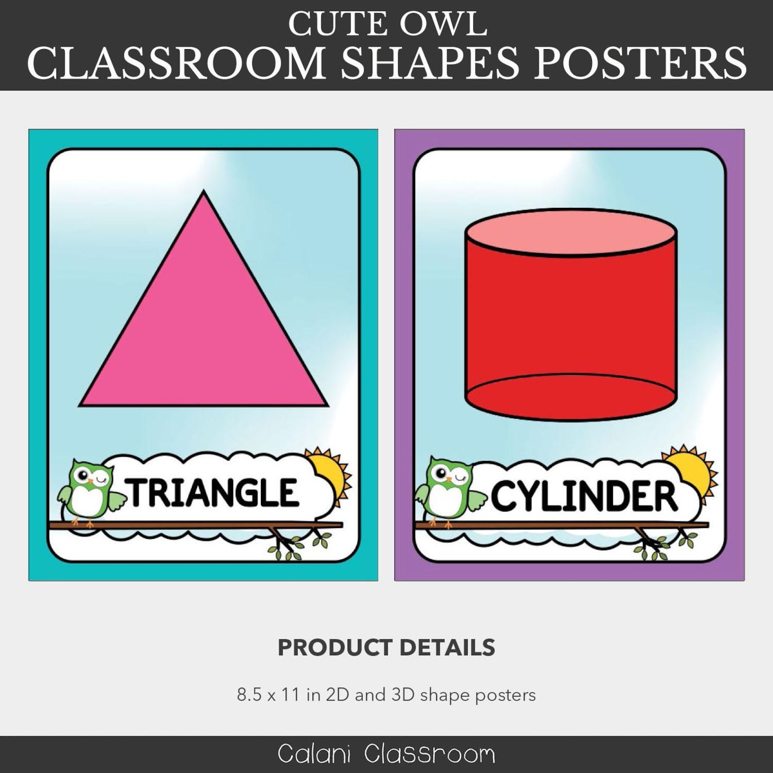 Shapes Poster Classroom Decoration, Owl Classroom Theme, 2D & 3D Shape ...