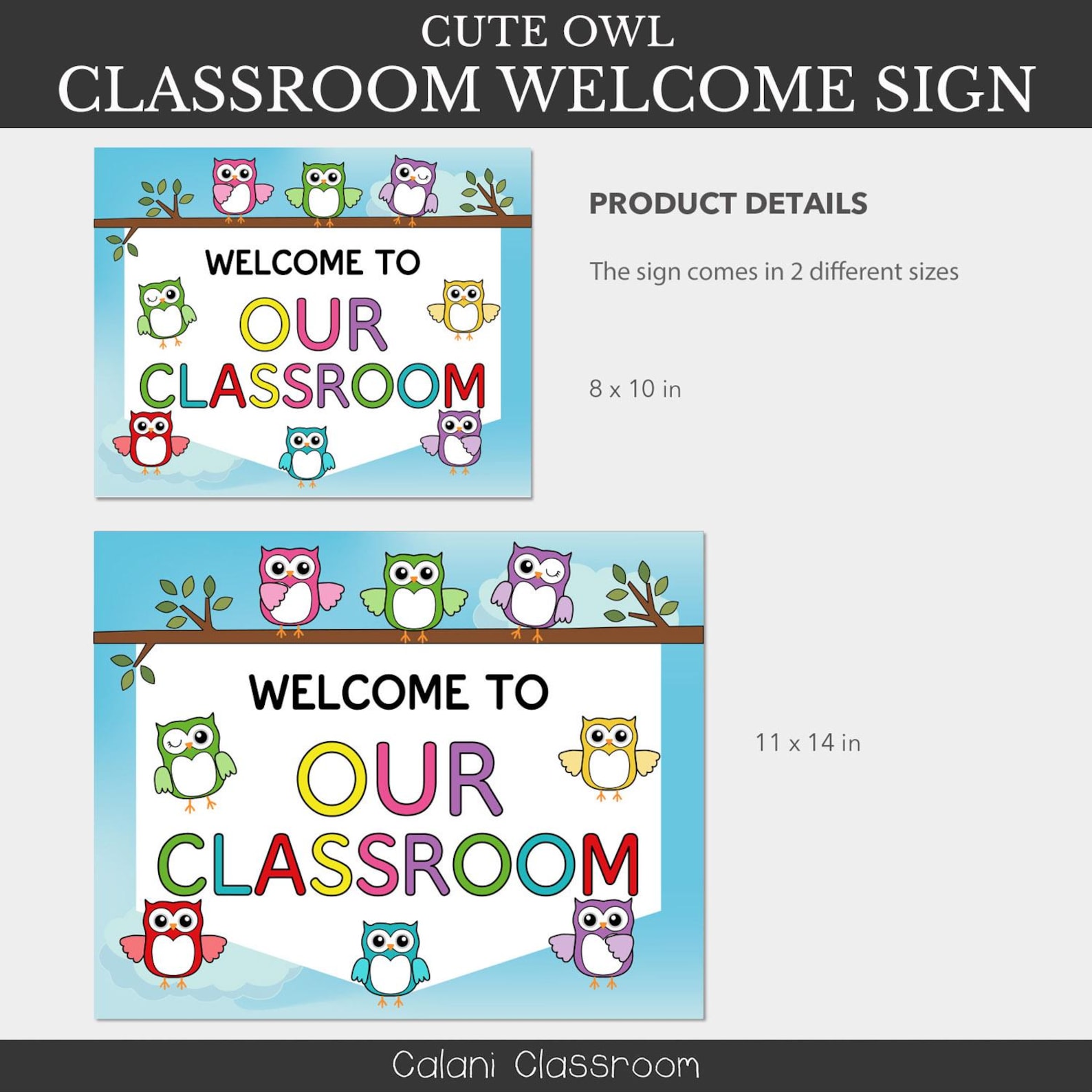 Classroom Welcome Sign, Cute Owl Classroom Door Sign, Welcome to Our ...
