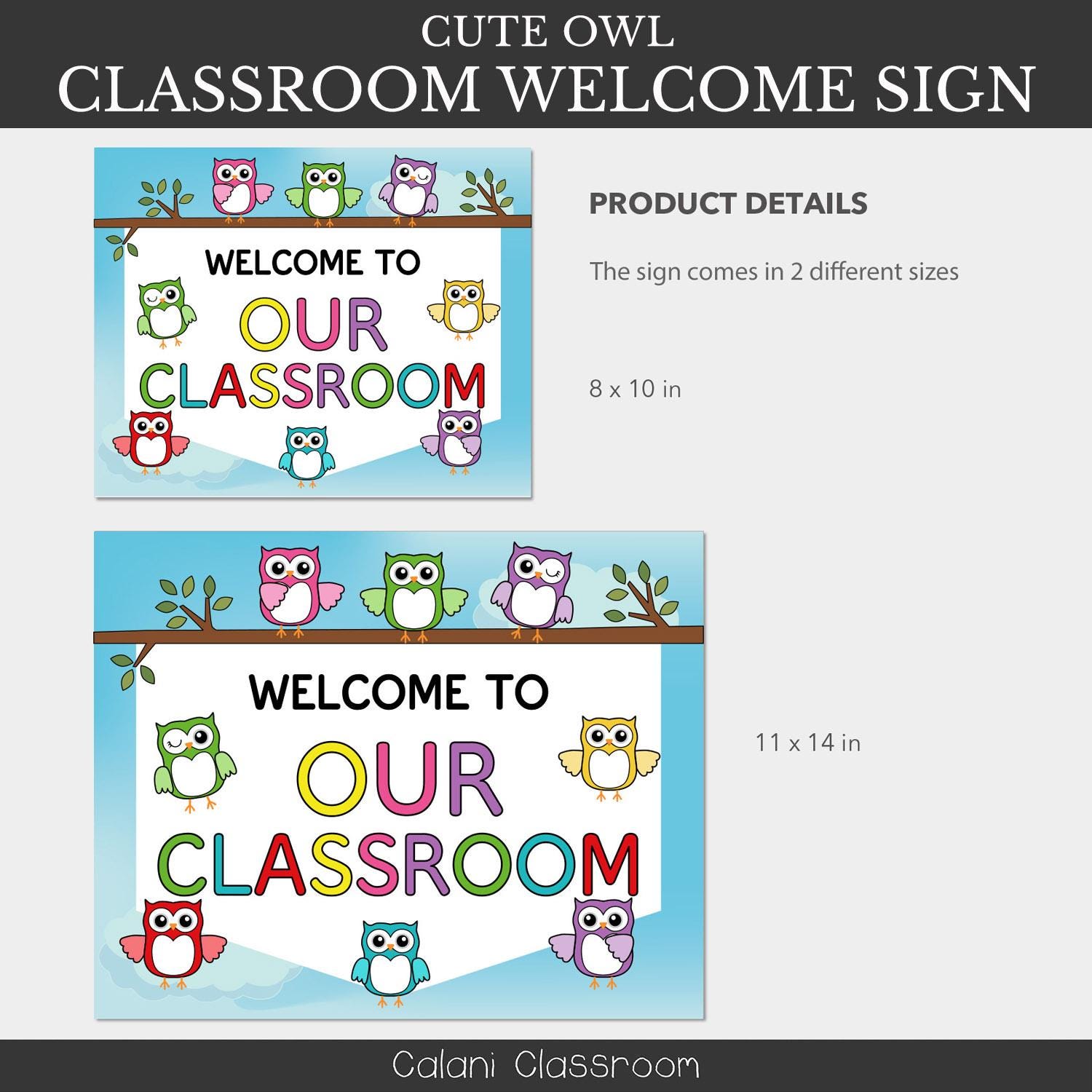 Classroom Welcome Sign, Cute Owl Classroom Door Sign, Welcome to Our ...