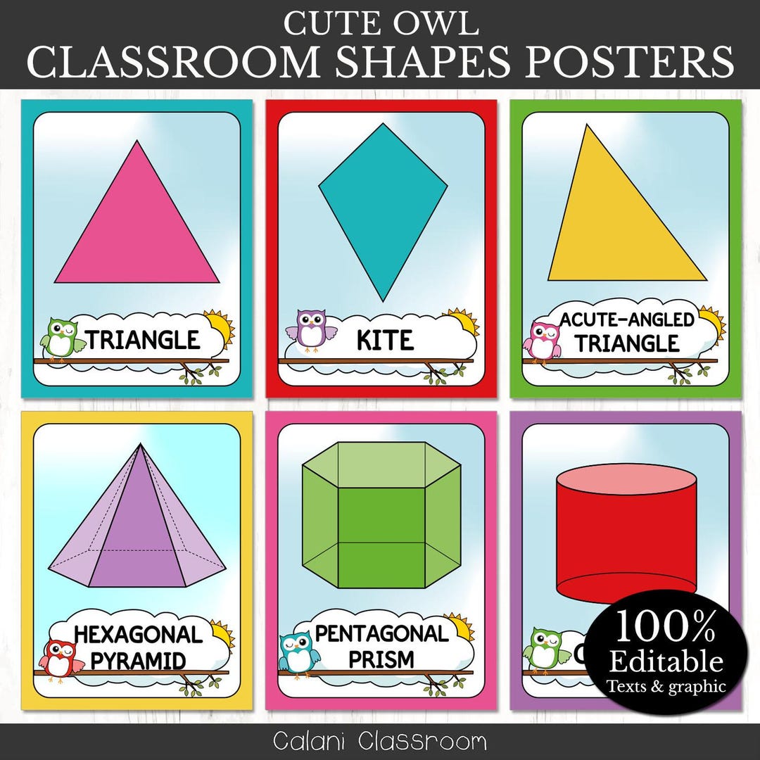 Shapes Poster Classroom Decoration, Owl Classroom Theme, 2D & 3D Shape ...