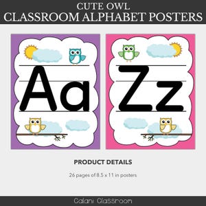 Alphabet Poster Classroom Decoration, Owl Classroom Theme, Editable ABC ...
