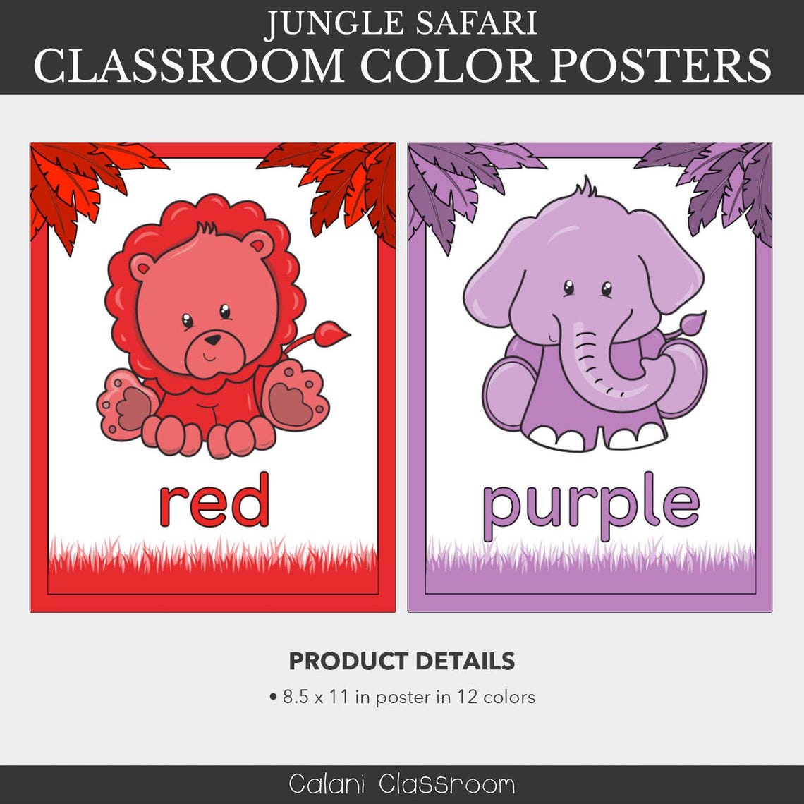 Color Poster Classroom Decoration, Safari Classroom Theme, Editable ...