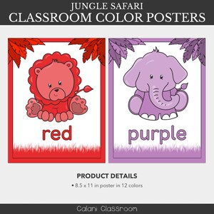 Color Poster Classroom Decoration, Safari Classroom Theme, Editable ...