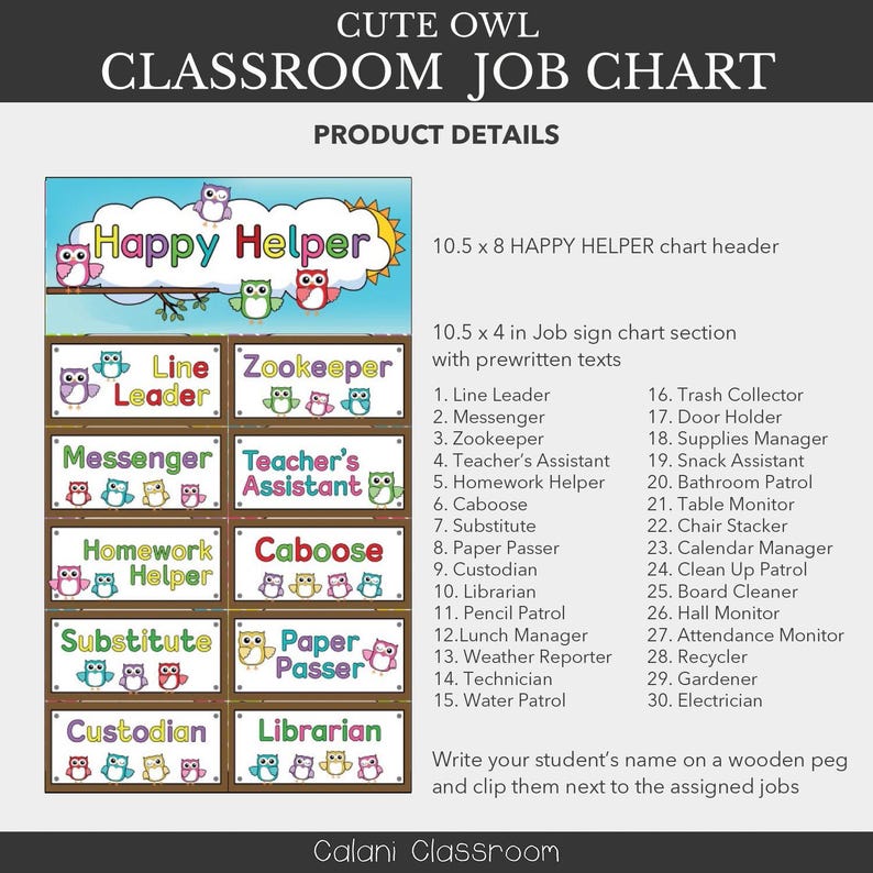 Classroom Jobs Chart, Cute Owl Classroom Theme, Editable Classroom Job ...