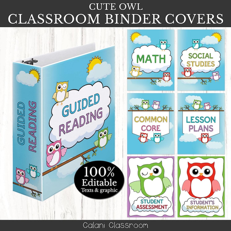 Teacher Binder Cover, Owl Classroom Theme, Editable Teacher Binder ...