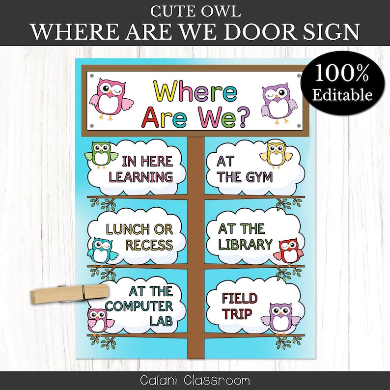 Classroom Door Sign, Cute Owl Classroom, Where Are We Door Sign, Owl ...