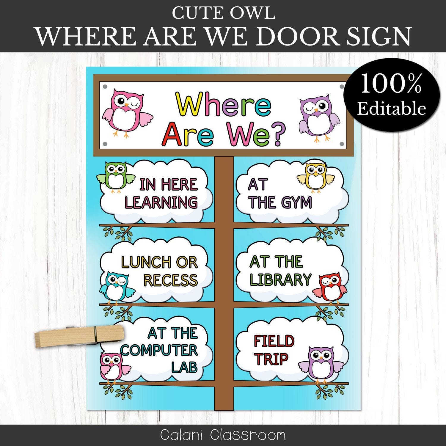 Classroom Door Sign, Cute Owl Classroom, Where Are We Door Sign, Owl ...