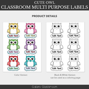 Classroom Supply Label, Owl Classroom Theme, Owl Editable Classroom ...