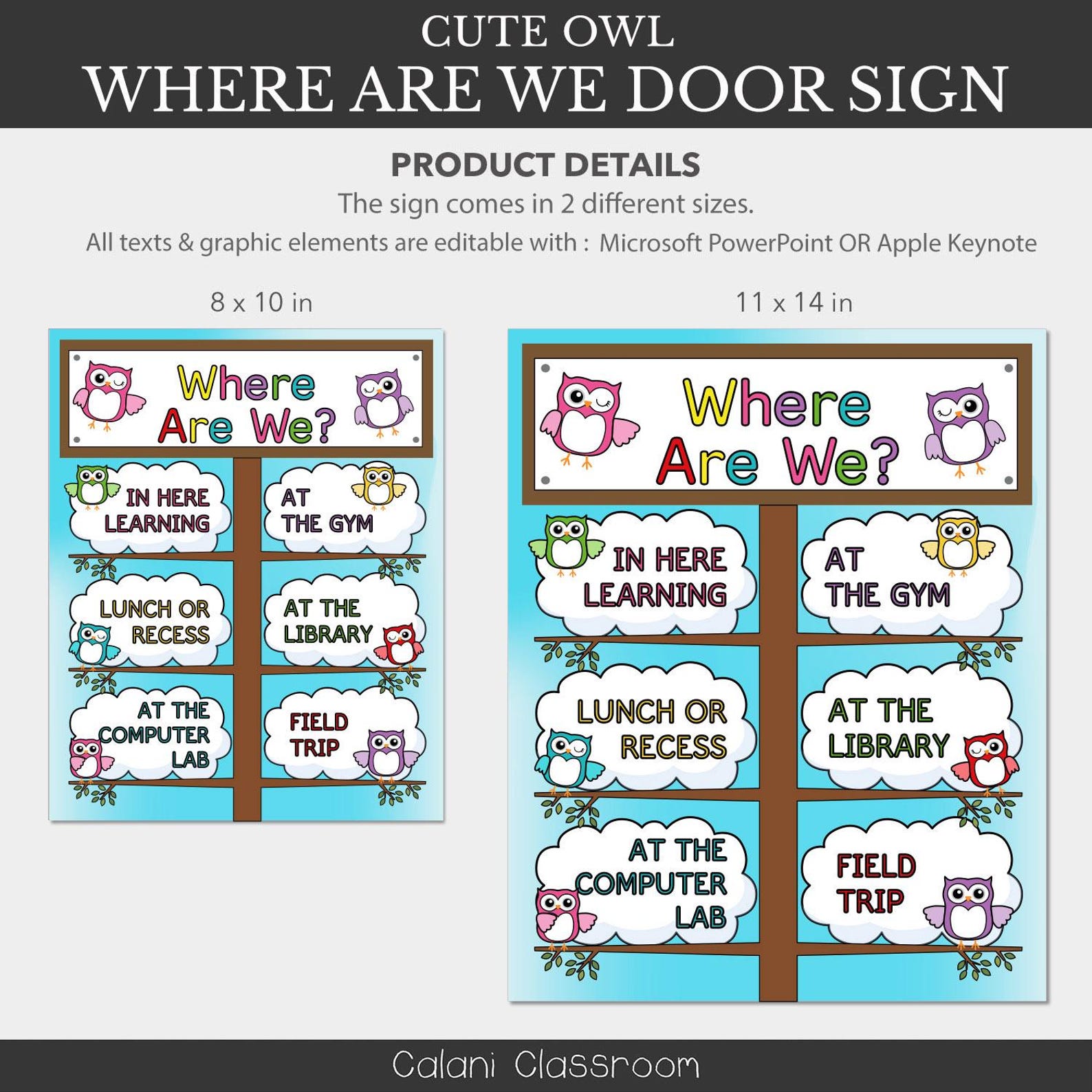 Classroom Door Sign, Cute Owl Classroom, Where Are We Door Sign, Owl ...
